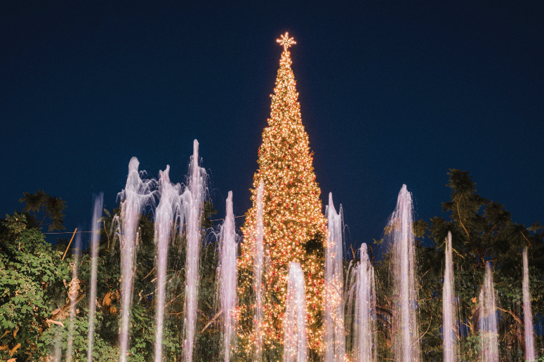Winterland Holiday Season 2024 | The Americana at Brand
